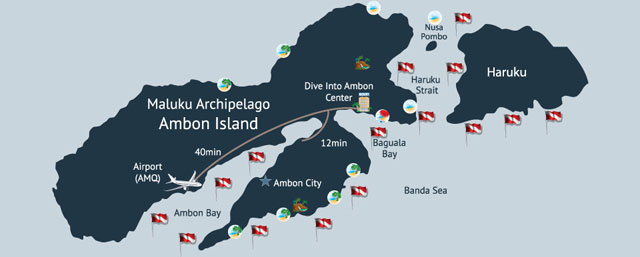 Aston Natsepa Ambon & Dive Into Ambon - Indonesia Dive Resorts - Dive ...
