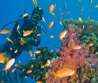 Ancient Diving in Caesarea & Haifa. Israel Highlights. Red Sea ...